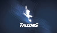 Counter - Strike Falcons ™ | ВКонтакте