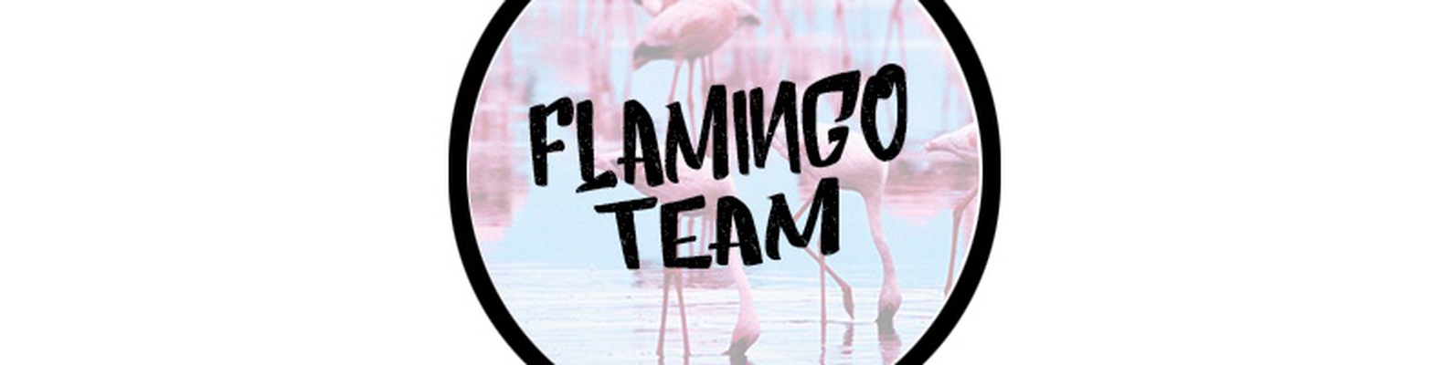 FlamingoTeam[FlamTeam] | Топ команда СНГ. 2025 | ВКонтакте